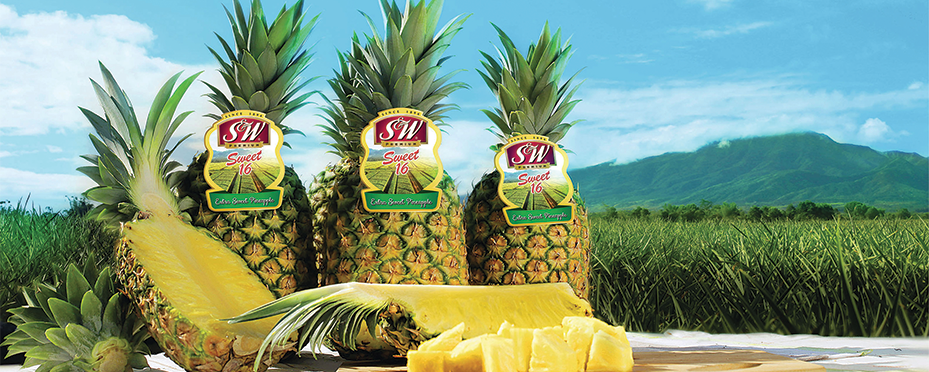 Del Monte Philippines - Sustainability - Nurturing Growth