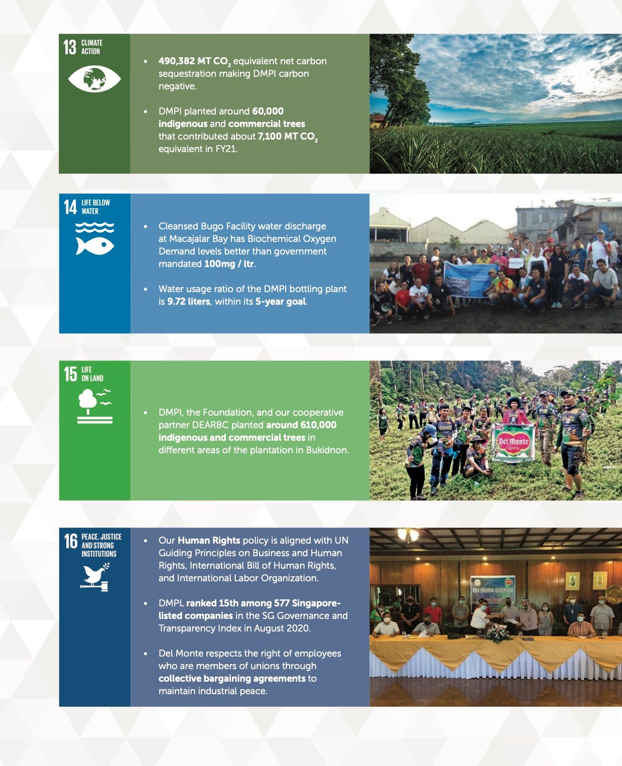 Del Monte Philippines - Sustainability - UN SDG