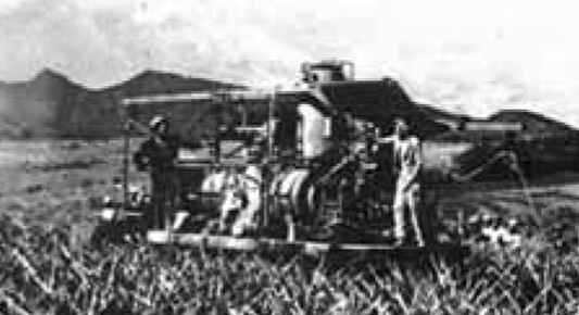 Del Monte Philippines History 90+ Years of Operations in the Philippines