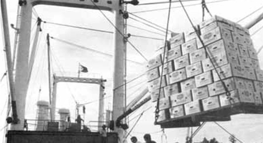 Del Monte Philippines History 90+ Years of Operations in the Philippines